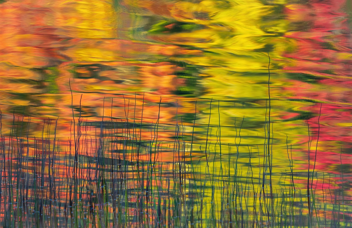 Change is the Only Constant – Melissa Stanton Photography Blog